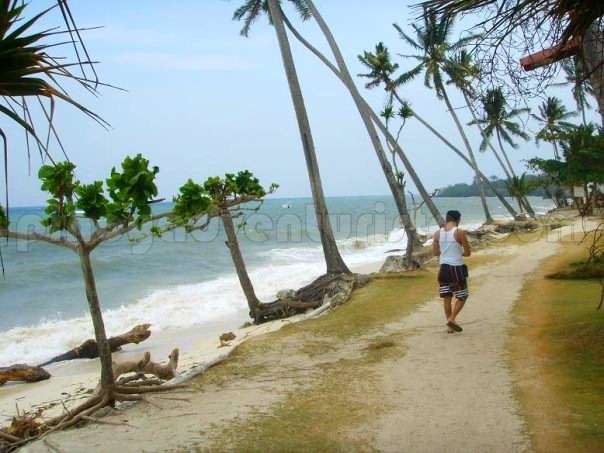 TOP PICKS: 10 THINGS TO DO IN BOHOL (Tourist Spots, Attractions and ...