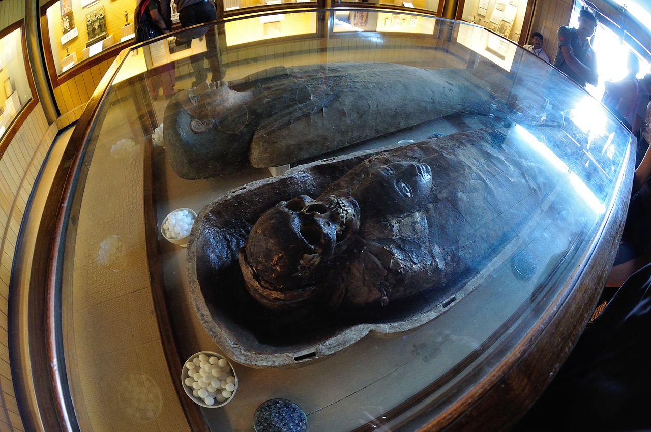 Sobre momias y momificaciones: The Egyptian human mummy at Indian ...
