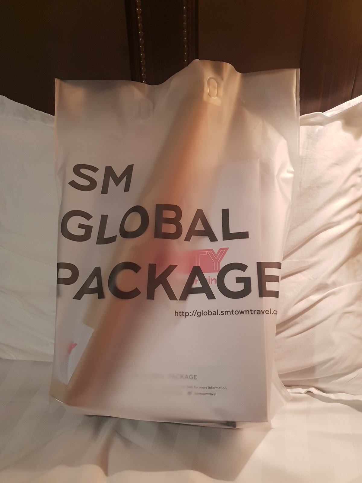 (รีวิว) ไปดูคอนเสิร์ต NCT กับ SM Global Package