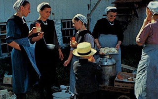 Everyday Dutch Oven: Amish Chicken Casserole