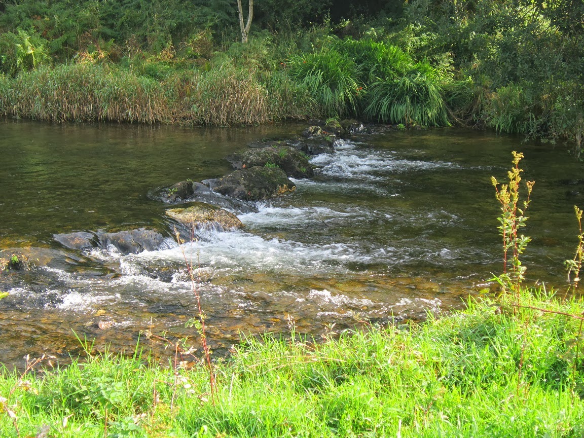 Exmoor Literary Walks: Hope Bourne, Walter Raymond, and Withypool - a ...