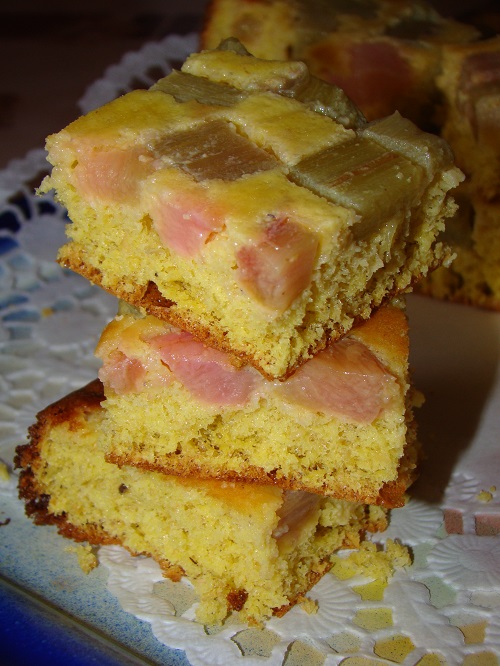 Cristina's world: Rasturnica cu rabarbar - dukan style