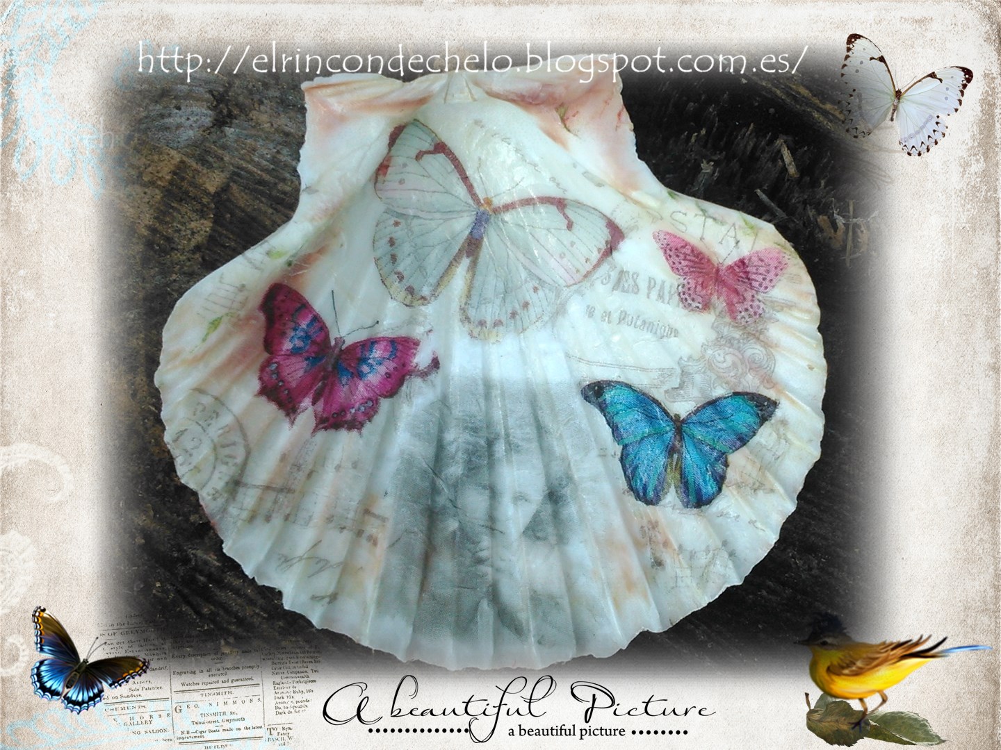 El rincón de Chelo: Conchas decoradas en "decoupage"