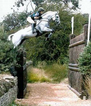 Horse Life and Love: Irish Draught Horses