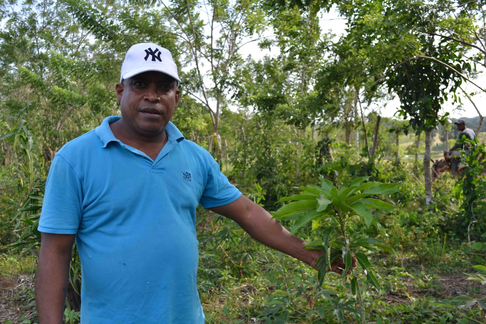 LIBERTAD: UNA COMUNIDAD EN LOS MONTES DE MARÍA QUE GESTIONA SU PROPIO ...