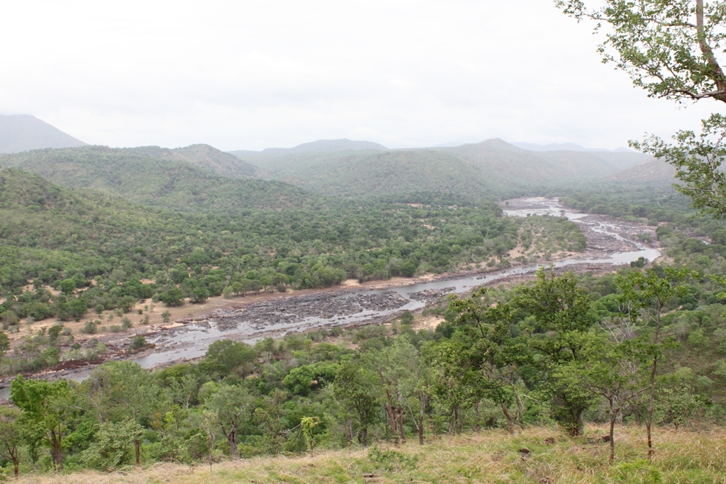 Sharing thoughts and experience ....: Galibore Fishing Camp: Basics of ...