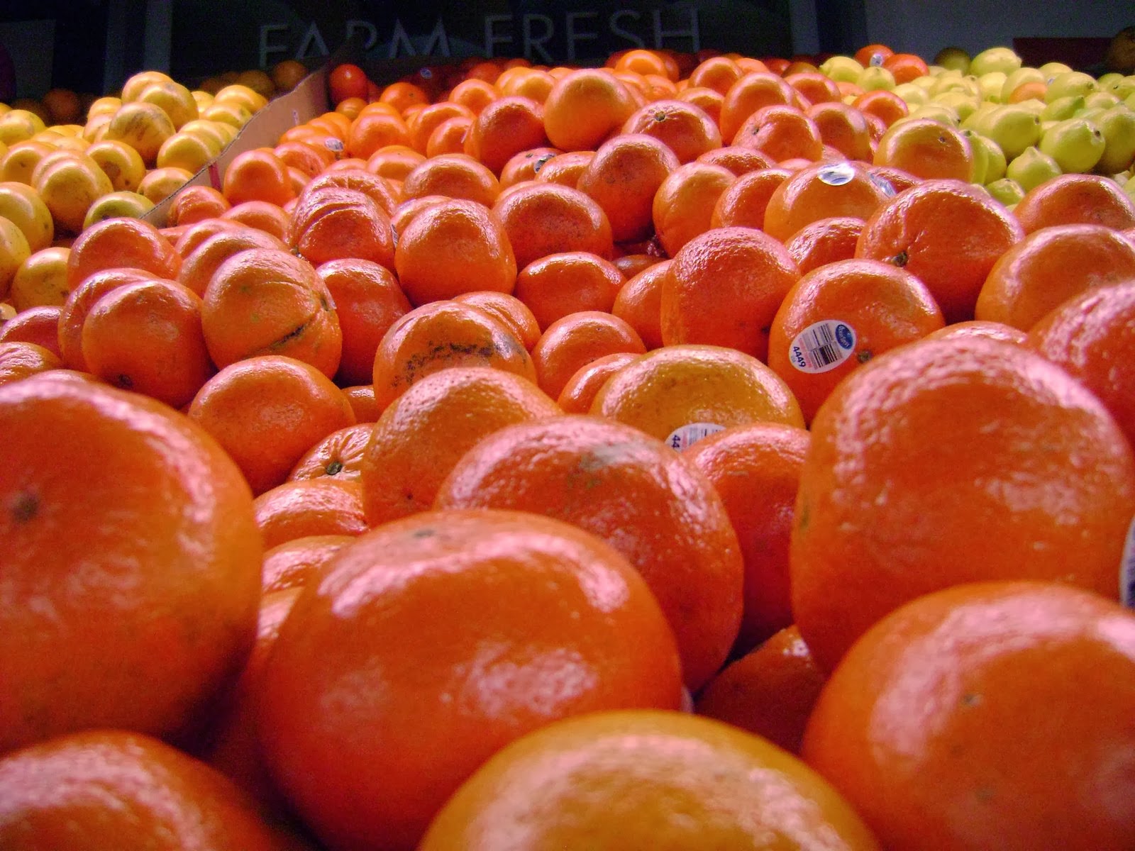 "Book of Days": "History of Fruit"