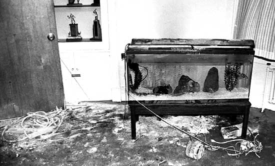 Nothing To Do With Arbroath: Fire crews believe aquarium fire put ...