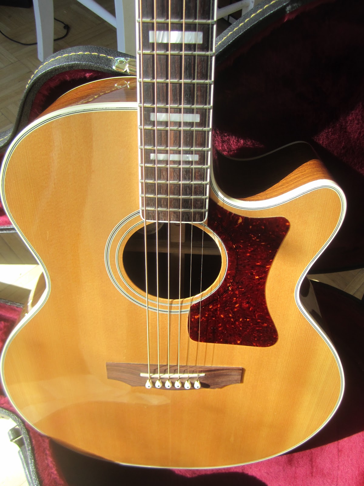 Acoustic Pickers: What's the Buzz? (2001 Guild F-47RCE)