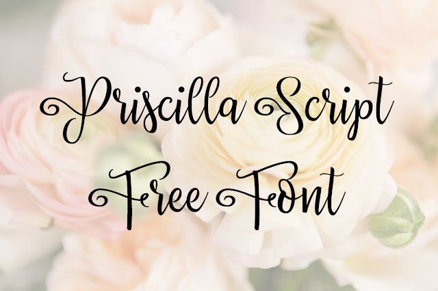 DLOLLEYS HELP: Priscilla Script Free Font