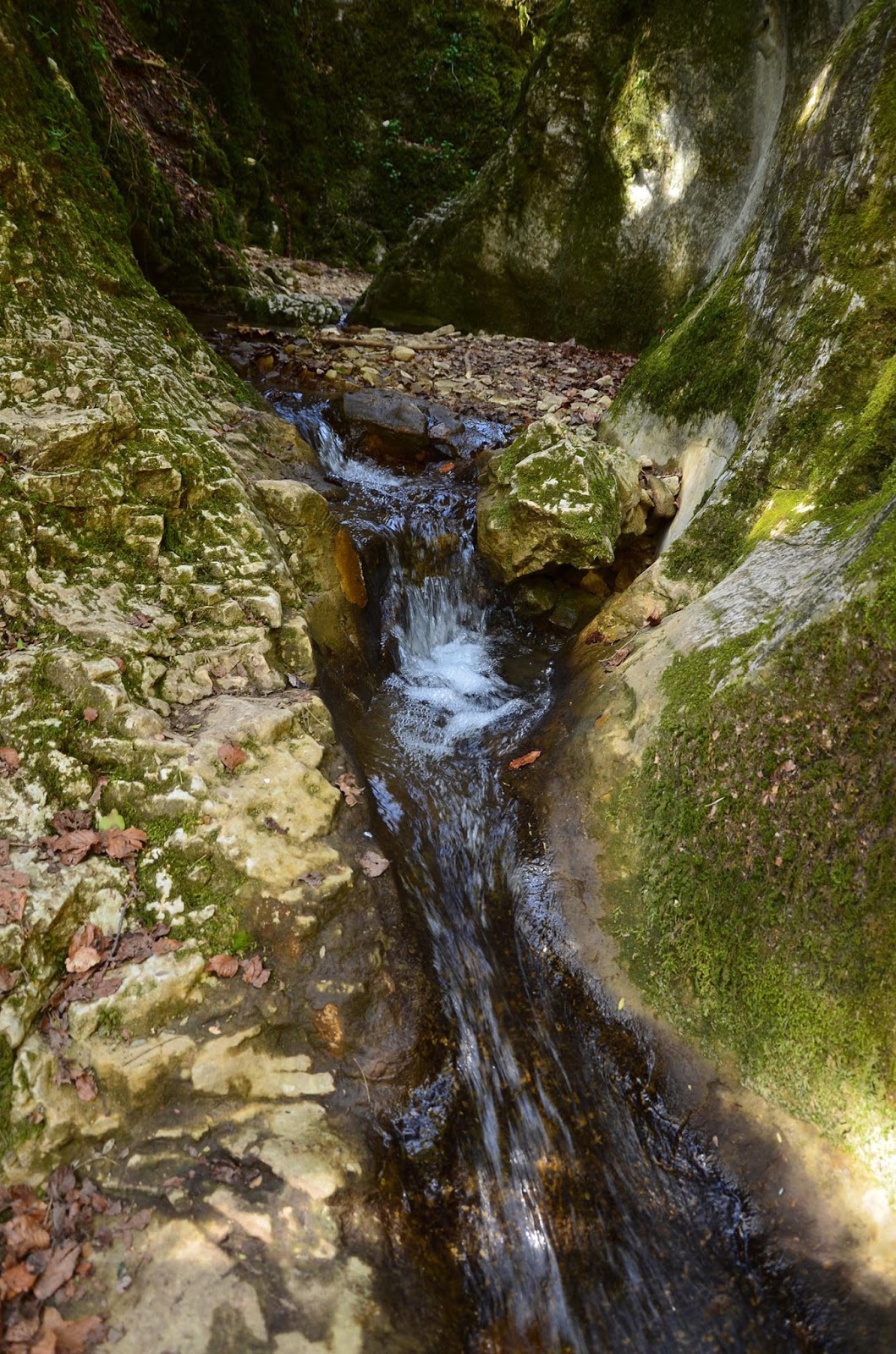 DROMESCAPE - Randonnées en Drôme et Escapades photographiques: Le ...