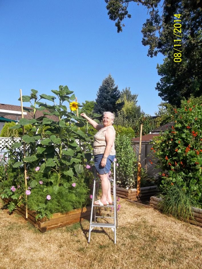 Gardening With Gramps
