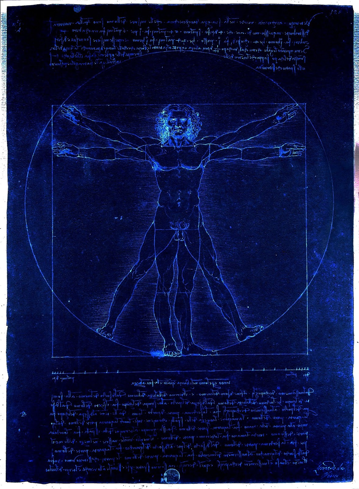 Leonardo, el Genio - El Hombre de Vitruvio.