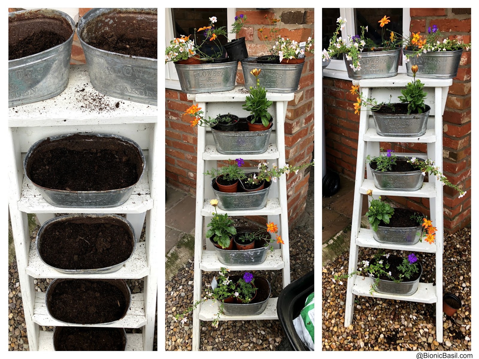 Bionic Basil® home of Basil and The B Team: Welcome To Gardening with ...