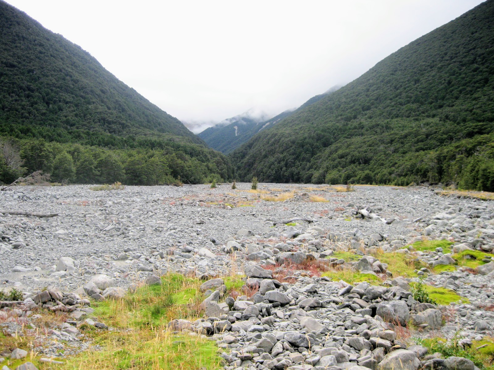 Tramping in the New Zealand backcountry: NZ Bush Adventures: East Hawdon