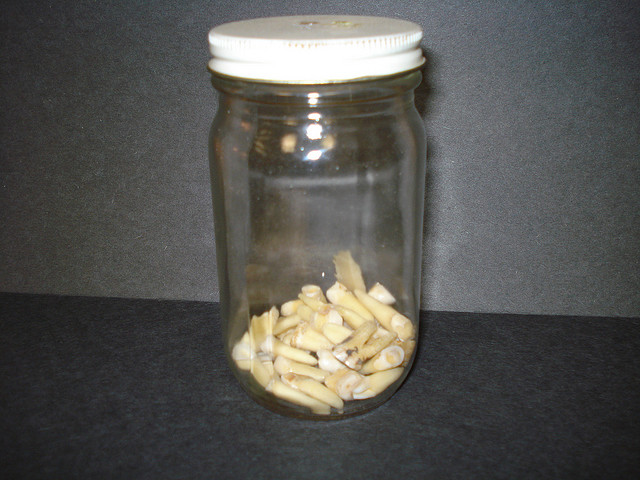 Deformutilation: Teeth in Jars