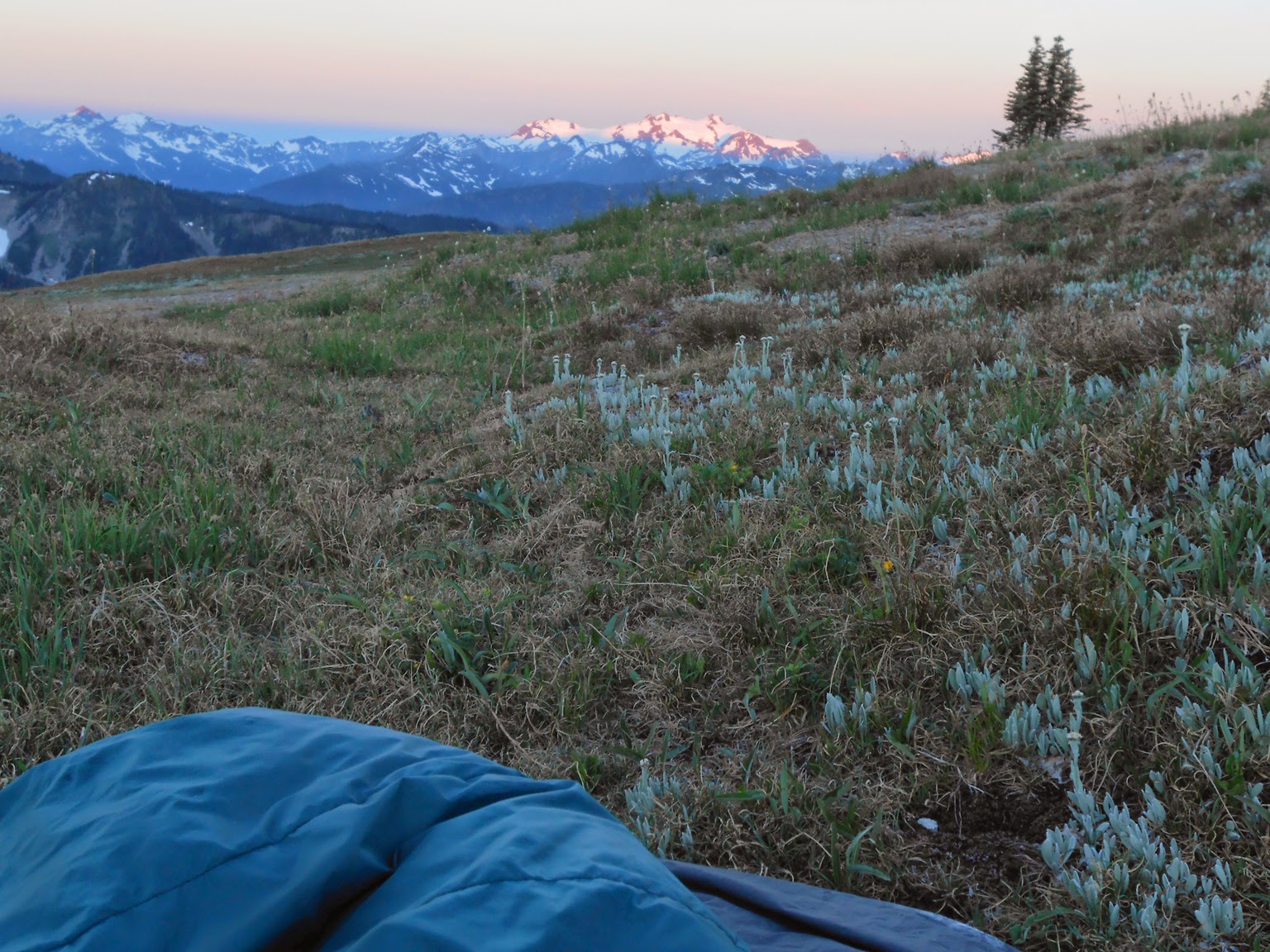 Val-Di-Ree: Obstruction Point to Dosewallips River, July 23-26, 2013
