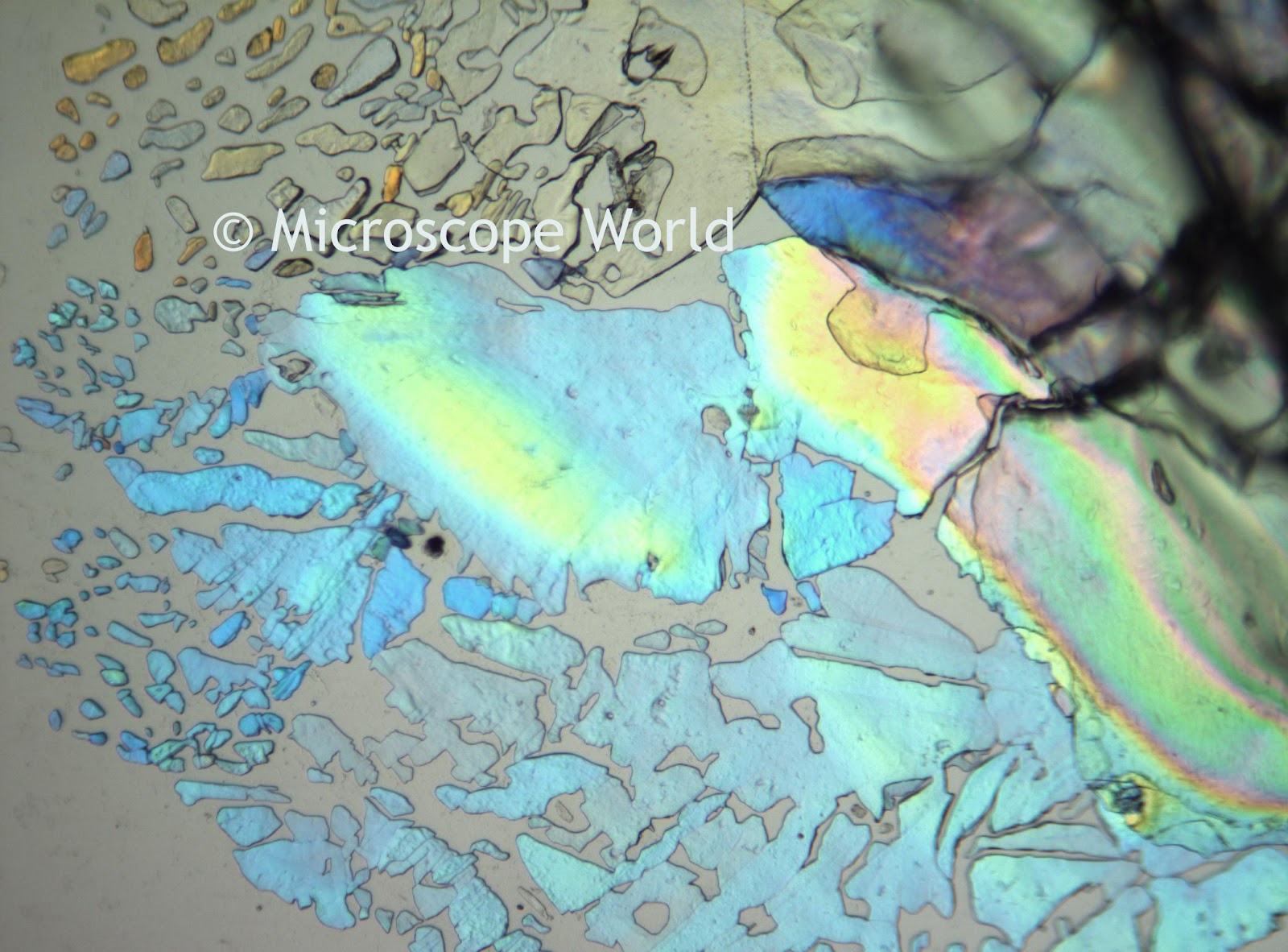 Microscope World Blog: Sugar under a Polarizing Microscope