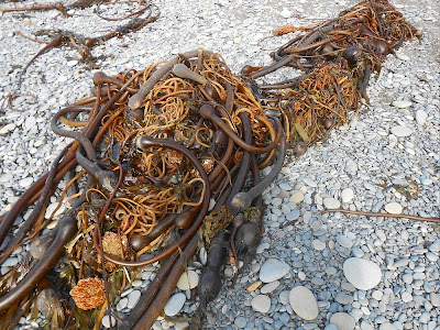 Ocean In View: October 2012