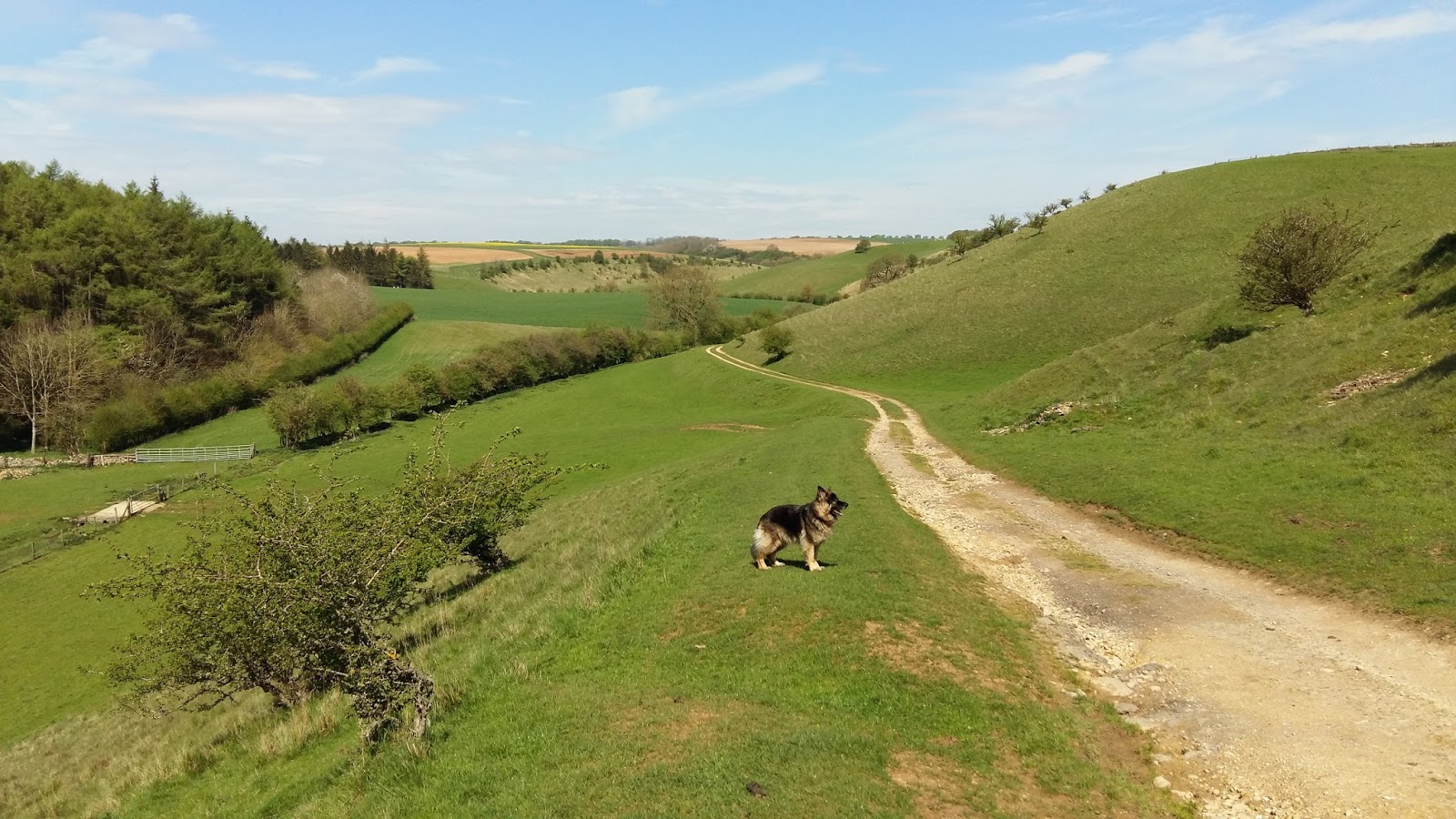 Cotswolds Travel: Idyllic Circular Walk Around Turkdean, Hazelton, and ...