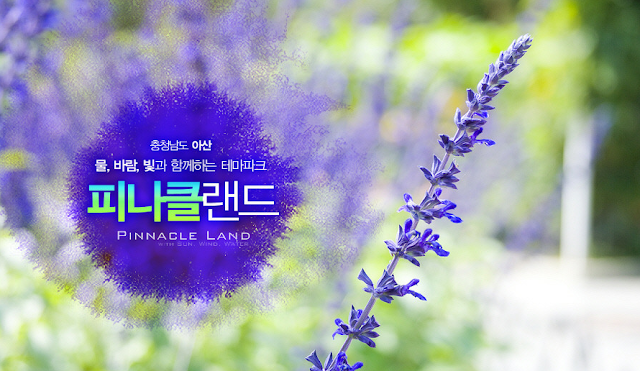 Travel to Korea: Asan Pinnacle Land