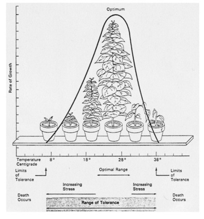Bioteknologi: RELUNG EKOLOGI