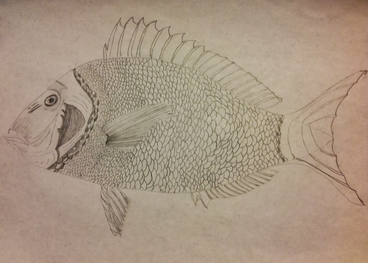 365 days of fish: Day 88 - Scaly fish