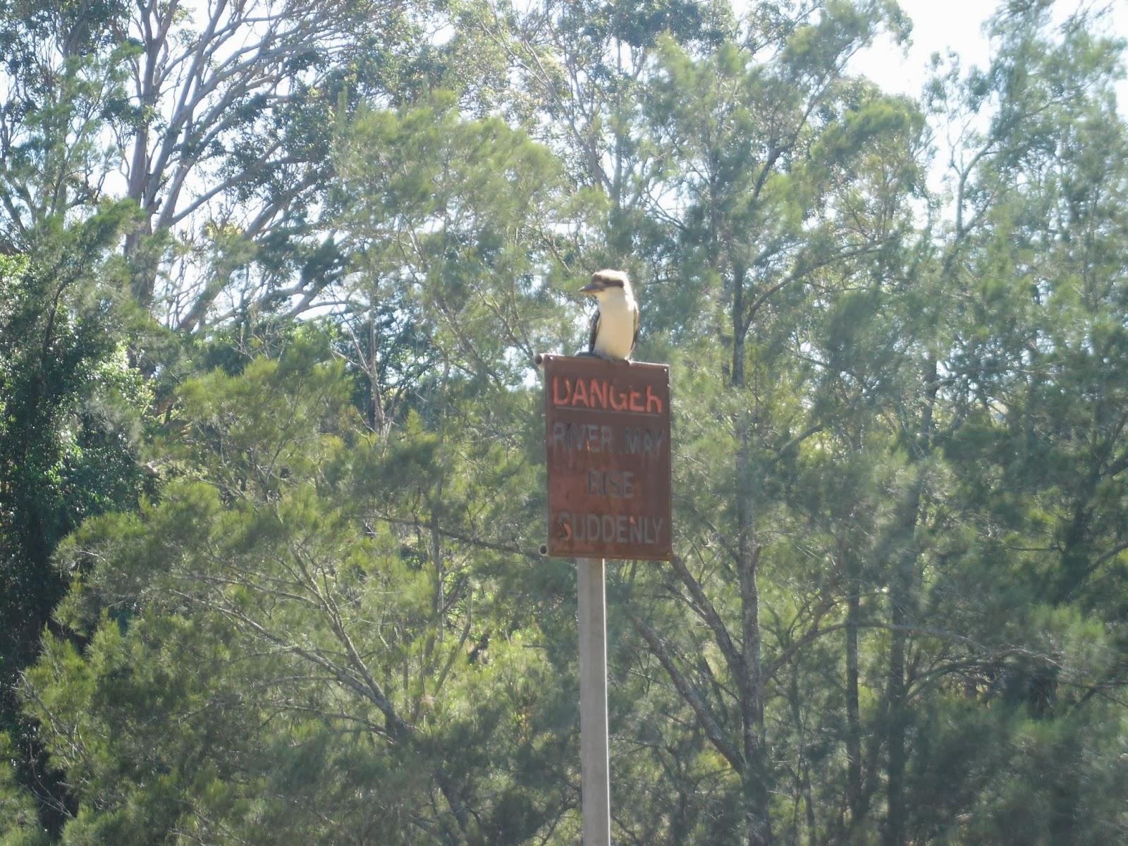 Bush, Fishing and Fun: Lostock Dam Caravan Park