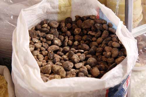 The Lima Peru LDS Temple Mission: Inca Religion and Myths