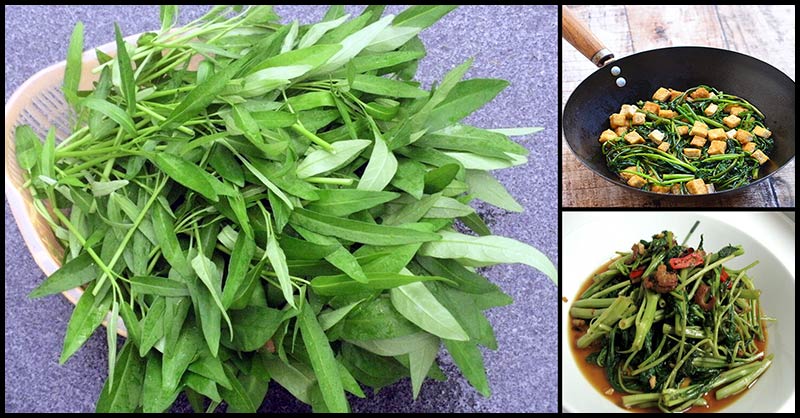 Health Benefits Of Eating Water Spinach (Kang-Kong) | Dr Farrah MD