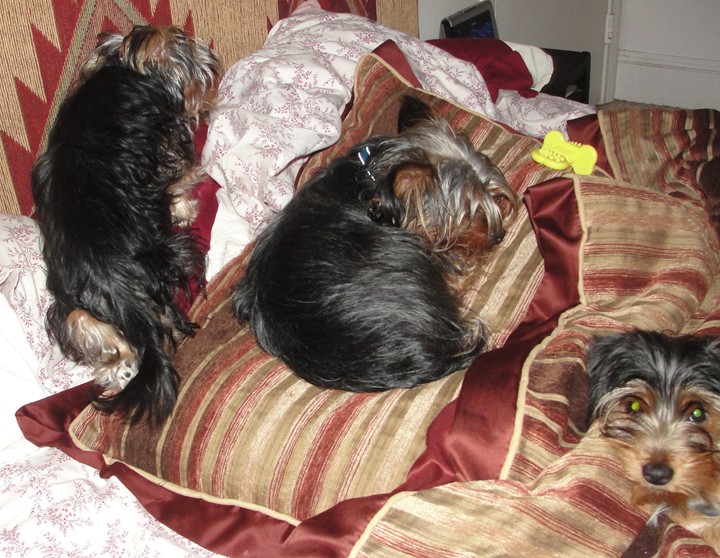 Bev's Antiquing, Schlepping, Schlogging, & Writing Blog Schlog: Jelly ...