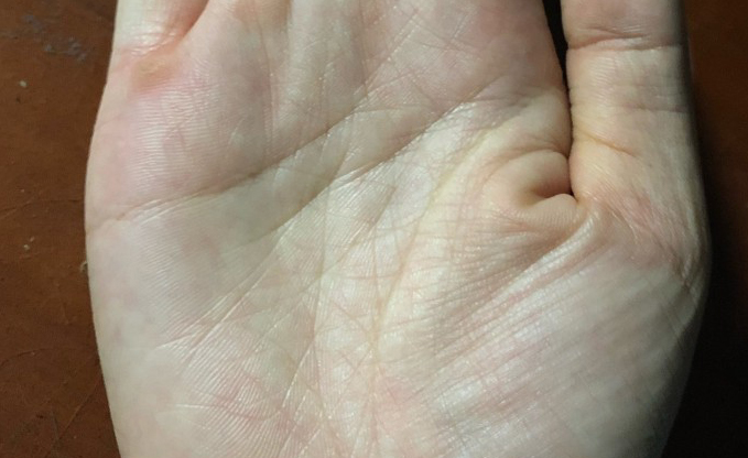 What Does A Broken Or Overlap Head Line Mean? Indian Palmistry ~ INDIAN ...