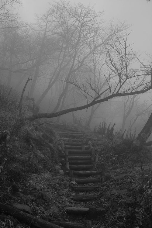 FMS408HodgkinsNGothicHorror What Is Gothic Horror Introduction fms408hodgkinsngothichorror-what-is-gothic-horror-introduction