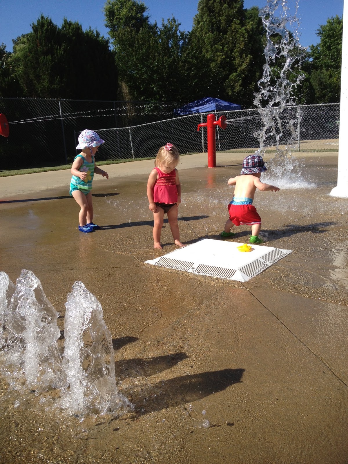 Life on the Learning Oak Farm: Lake Johnson Pool w/Friends