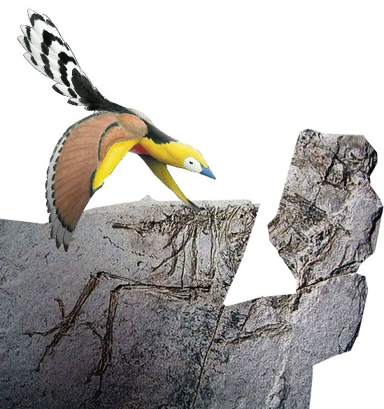 Welcome to the Jungle!!!: JENIS-JENIS DINOSAURUS