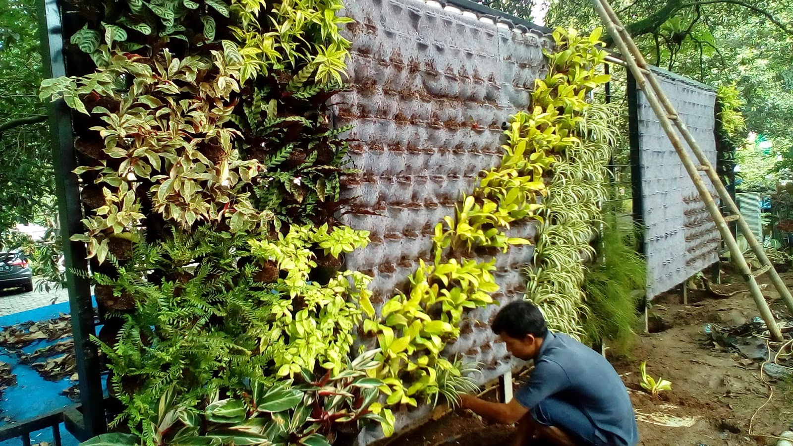 JASA PEMBUATAN TAMAN VERTICAL DI BOGOR | TUKANG TAMAN MINIMALIS
