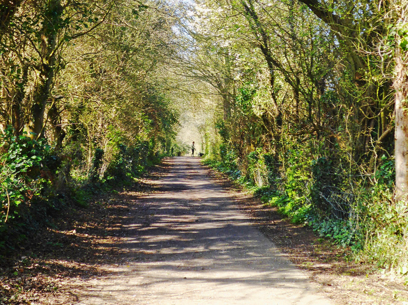Lin's Isle of Wight Walking Blog: Walk 43 Ryde to Quarr Abbey - 2.5 miles