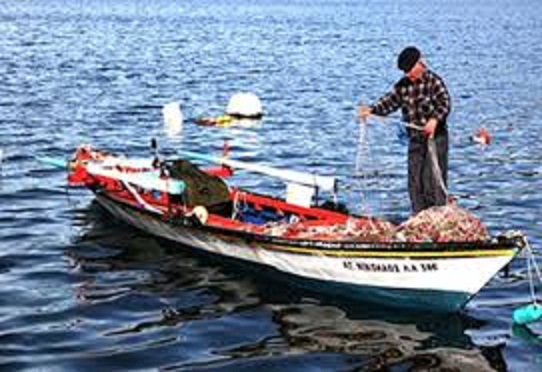 ΑΠΑΓΟΡΕΥΕΤΑΙ Η ΑΛΙΕΙΑ ΠΕΣΤΡΟΦΑΣ ΚΑΙ ΚΟΡΕΓΟΝΟΥ ΣΤΗ ΛΙΜΝΗ ΒΕΓΟΡΙΤΙΔΑ