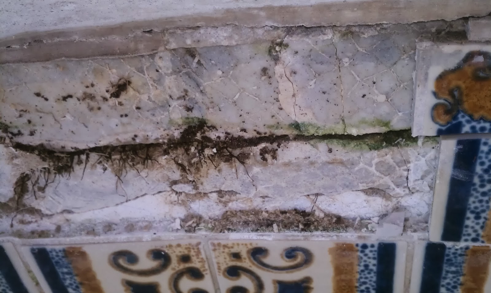 A Pool Builder's View of Building Swimming Pools: Help, my pool tile is ...