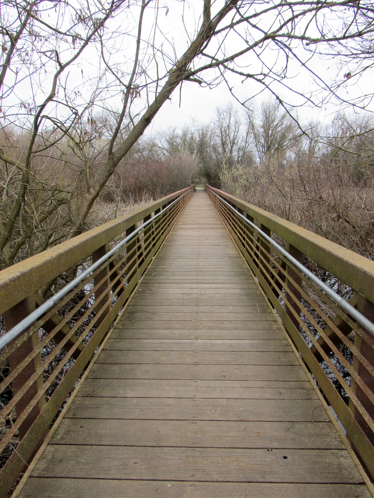 A Winter Walk at Cosumnes River Preserve