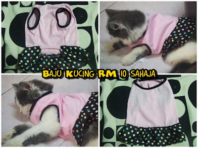 BAJU KUCING