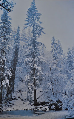 Wit's End: Freedom's Just Another Word