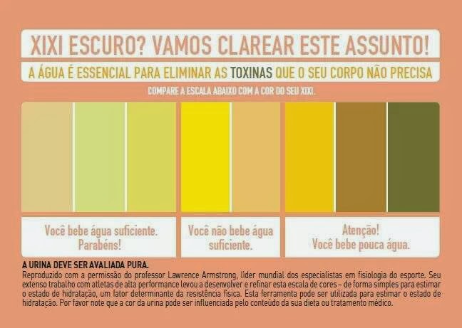 Leite da Terra: Qual a cor do seu xixi