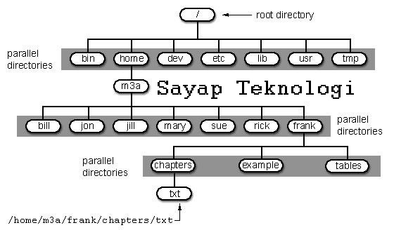 Belajar Dasar Linux untuk Menjadi Hacker Pro, Bagian 1 (Memulai ...