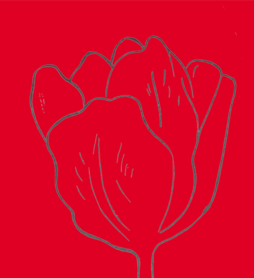 Piešiniai ir darbeliai: Trafaretas gėlė tulpė -1