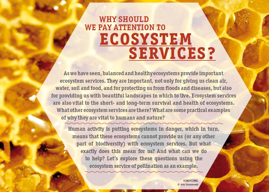 Beautiful Nature: Why Should We Pay Attention To Ecosystem Services?
