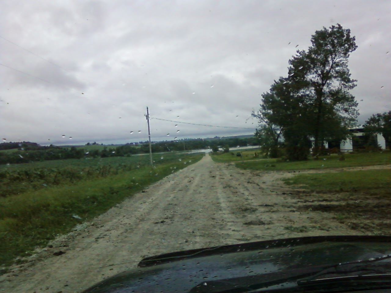 Pine View Angus Farms