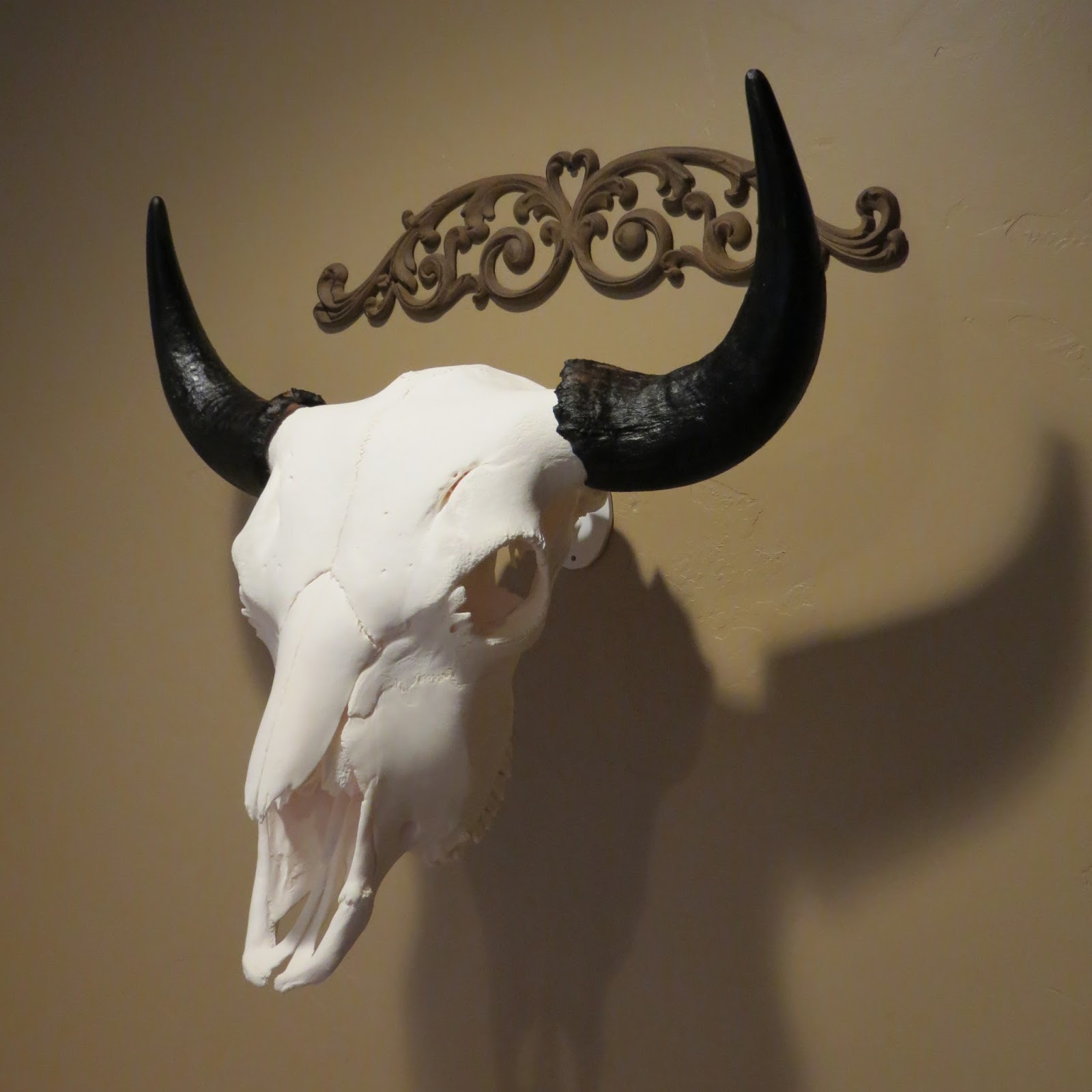 Marsh Taxidermy: Moose, Bison, Large Skulls