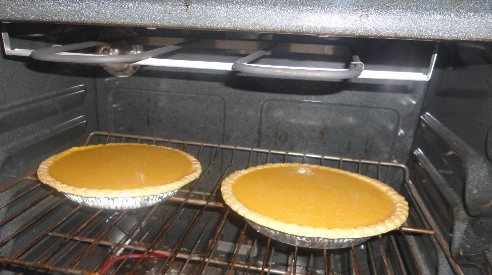 Pleasant Dreams Farm: Poor poor turkey. Thank you for your nourishment.