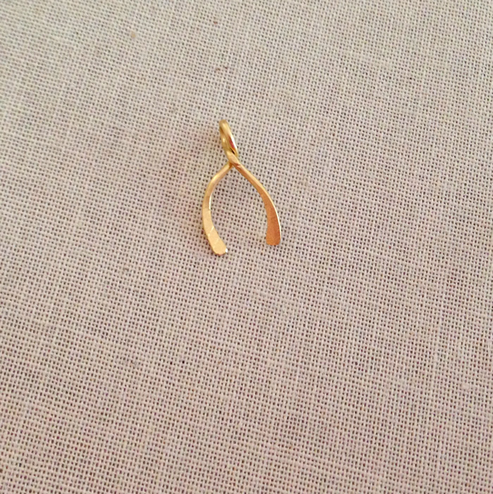 Lisa Yang Jewelry - Free Projects and Patterns: DIY Wishbone Charm Wish ...